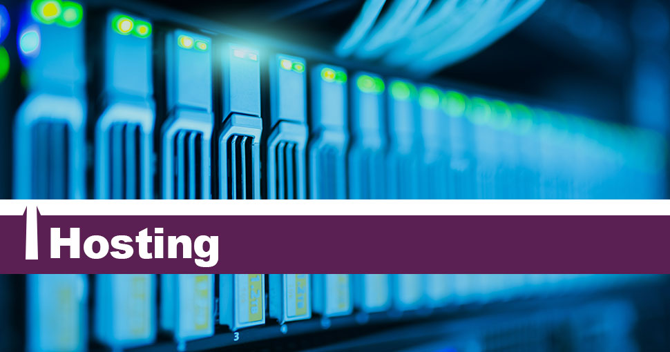 Lighting Fast & Secure Hosting & Websites From Skillful Antics